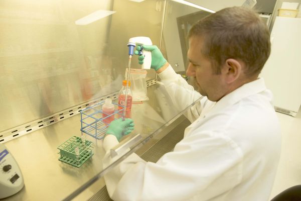 SDSU lab responds quickly to PEDv | News, Sports, Jobs - Farm News